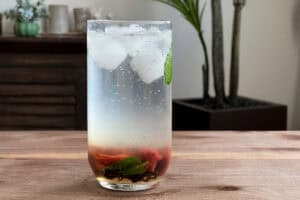 Classic Vietnamese Plum Soda