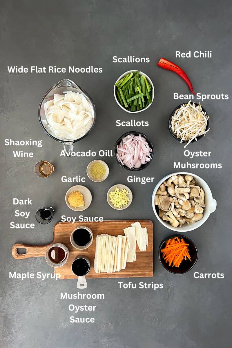 Easy Chow Fun Noodles (With Tofu)