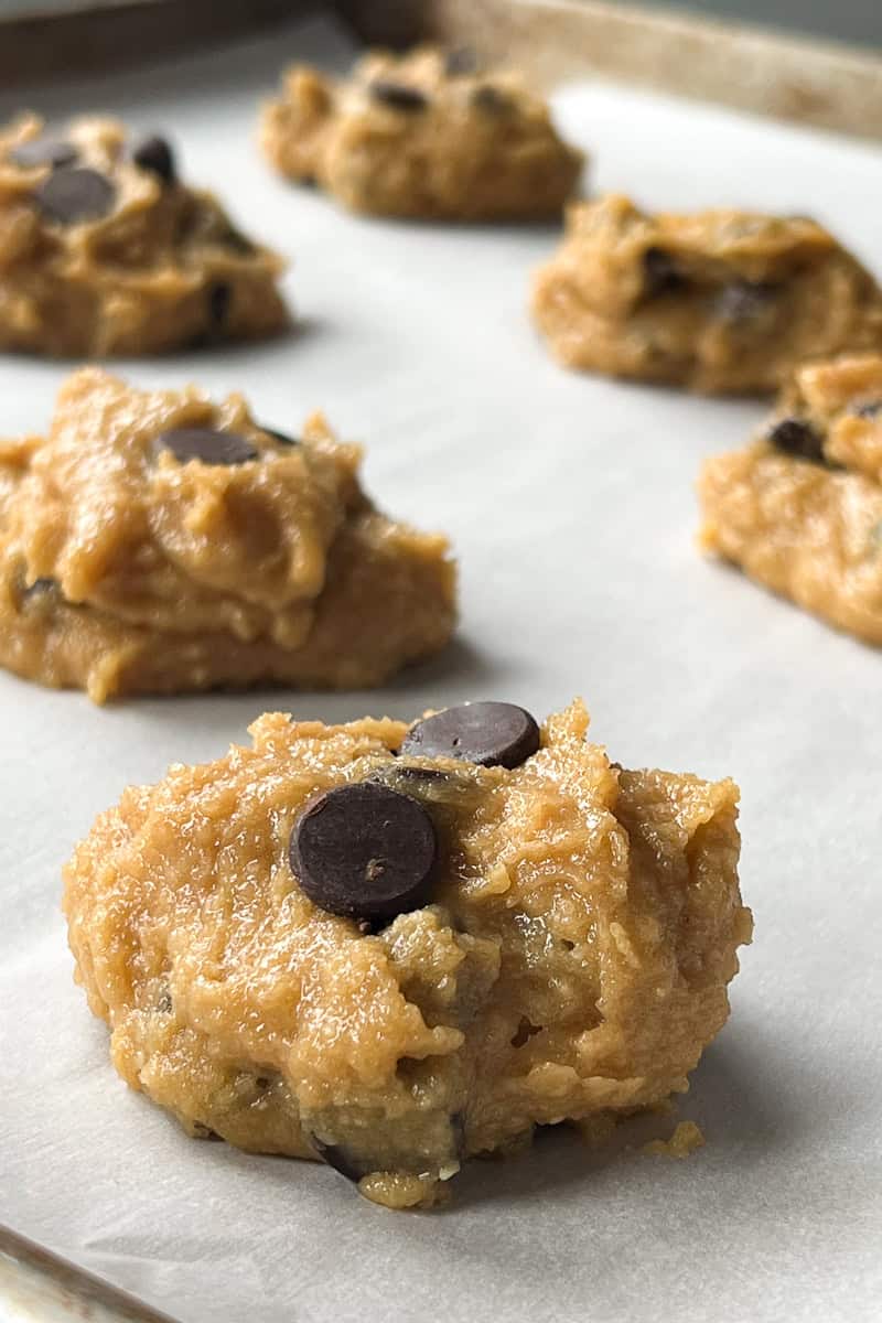 Easy Vegan Protein Cookies