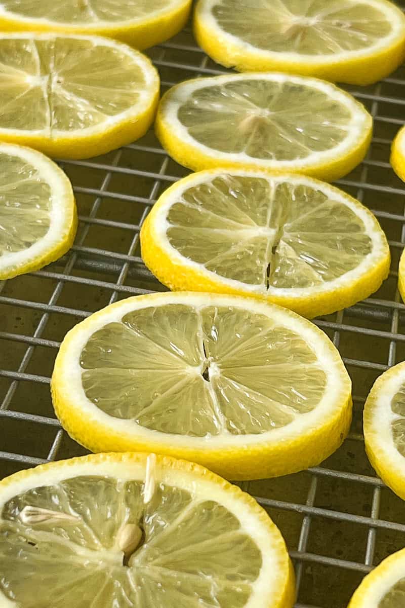 Oven-Dried Lemon Slices (No Dehydrator!)