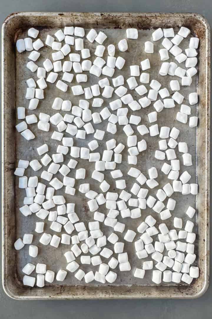 Mini Dehydrated Marshmallows (5 Minutes of Prep)