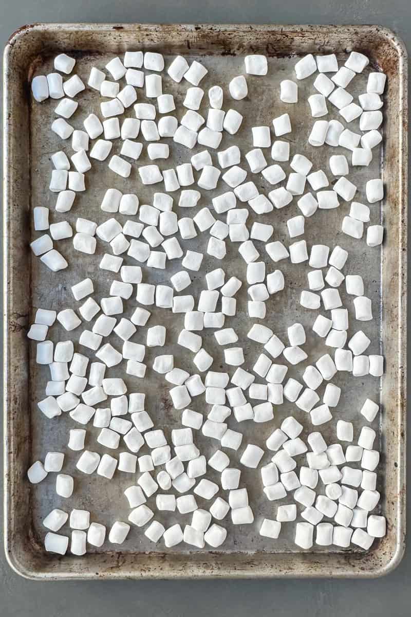 Mini Dehydrated Marshmallows (5 Minutes of Prep)