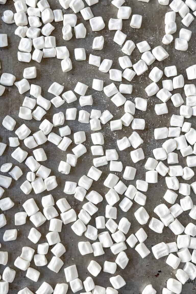 Mini Dehydrated Marshmallows (5 Minutes of Prep)