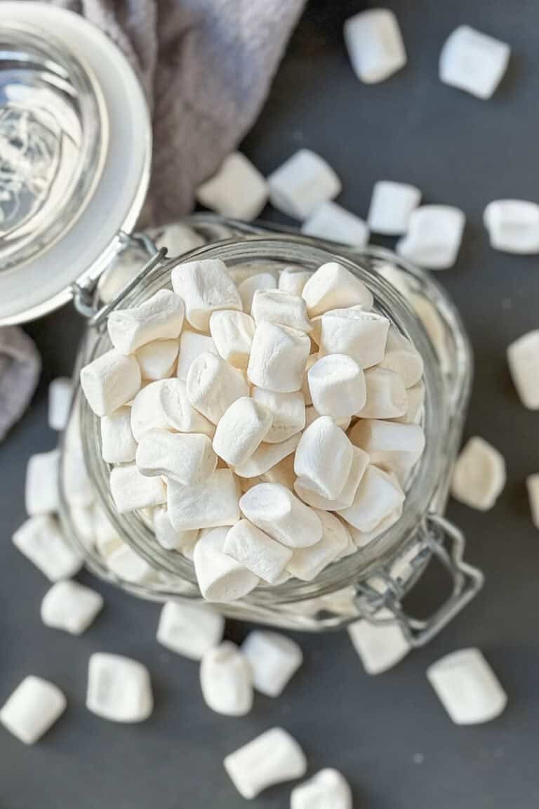 Mini Dehydrated Marshmallows (5 Minutes of Prep)